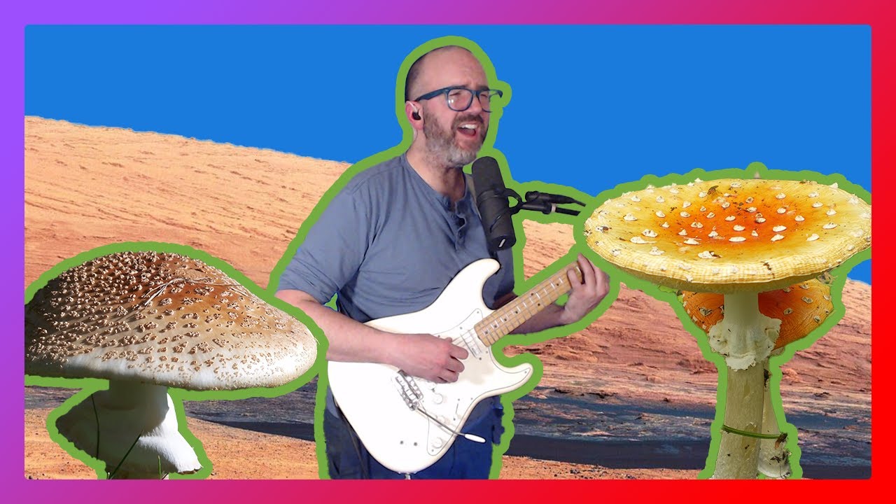 What is the meaning of my song "Networks"? [Explained On Stream] - YouTube