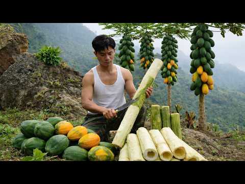 The old woman returned home, continuing peaceful days harvesting and cooking.