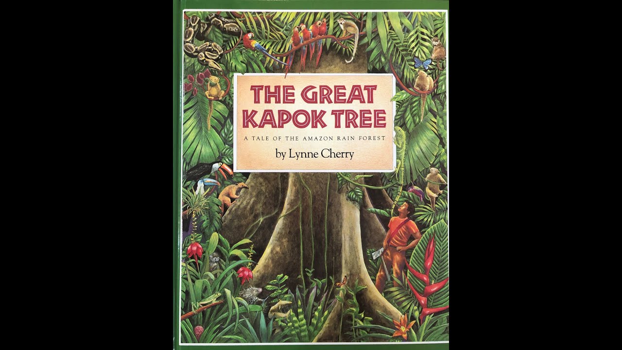 RAA The Great Kapok Tree reading - YouTube