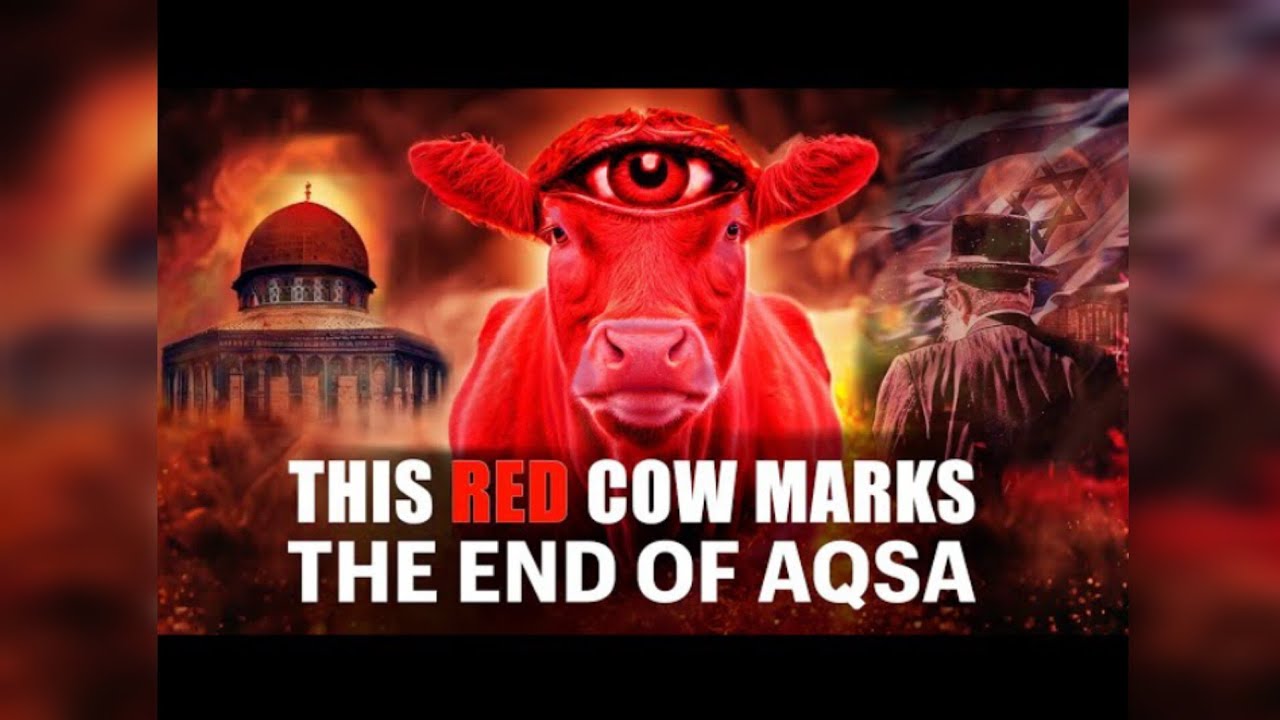 Red Cow | Simpson Prediction About 2024 | Red Heifer Kia Hey ? | Jews ...