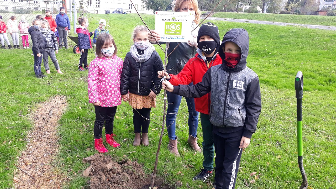 Sadzimy sad w PSP nr 3 - YouTube