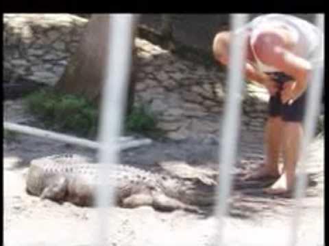MAN BEING EATEN BY SNAKE!!!!!! Man gets eaten alive by a snake ...