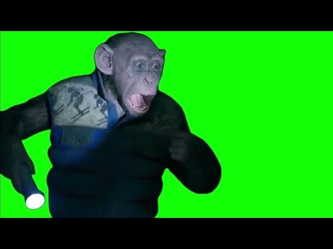 Why Does The Monkey Say Oh No