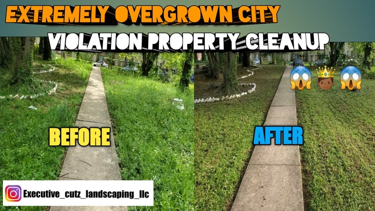 EXTREMELY OVERGROWN CITY VIOLATION CLEANUP PROPERTY (CLEANUP KING 🤴🏾 ...