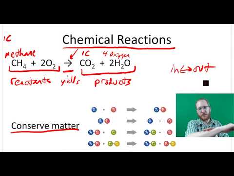 Biochemical Reactions - YouTube