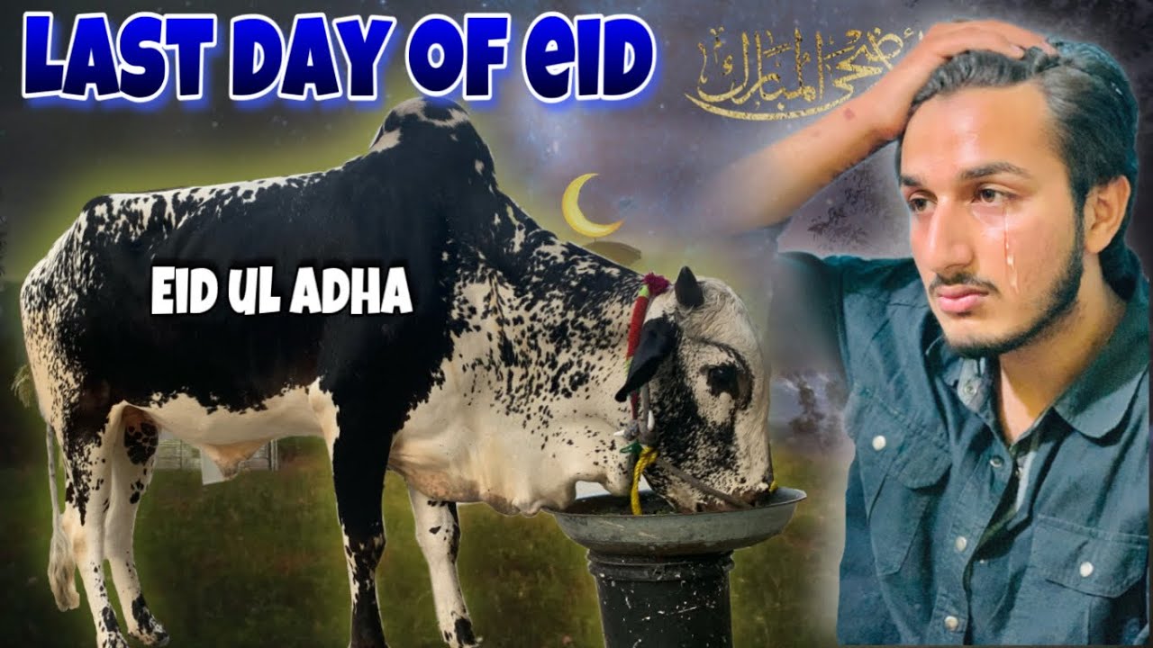 Qurbani key janwar le leay || Bakra Eid || last day of eid || eid ul ...