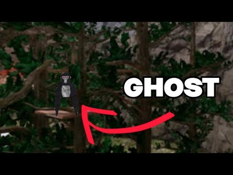 ghosts and hackers compilation! #gorillatag #gtag - YouTube