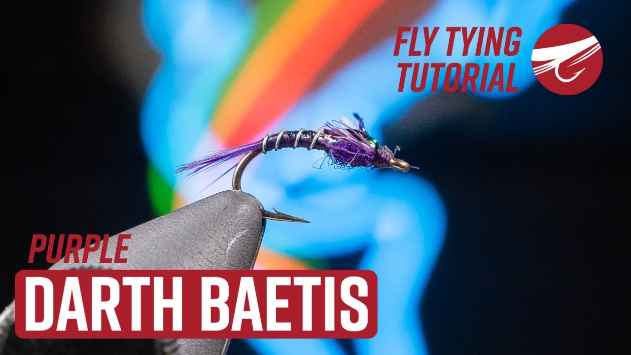 Purple Darth Baetis | FLY TYING TUTORIAL - YouTube