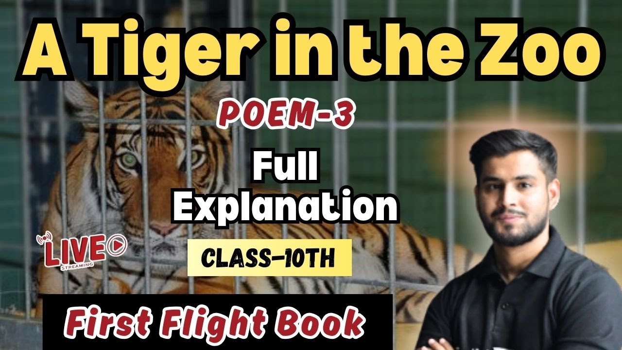 A Tiger in the ZOO Poem-3 Full Explanation | First Flight Book CBSE ...