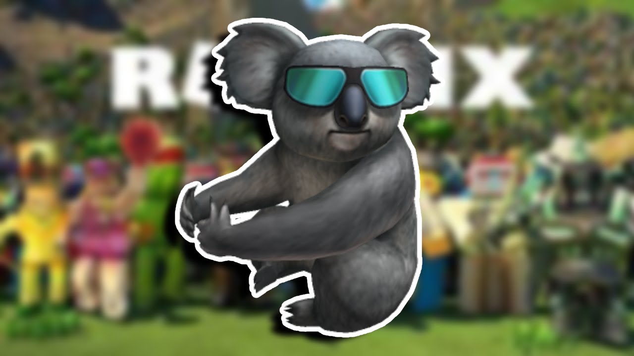 How to get Too Cool Koala in roblox - YouTube
