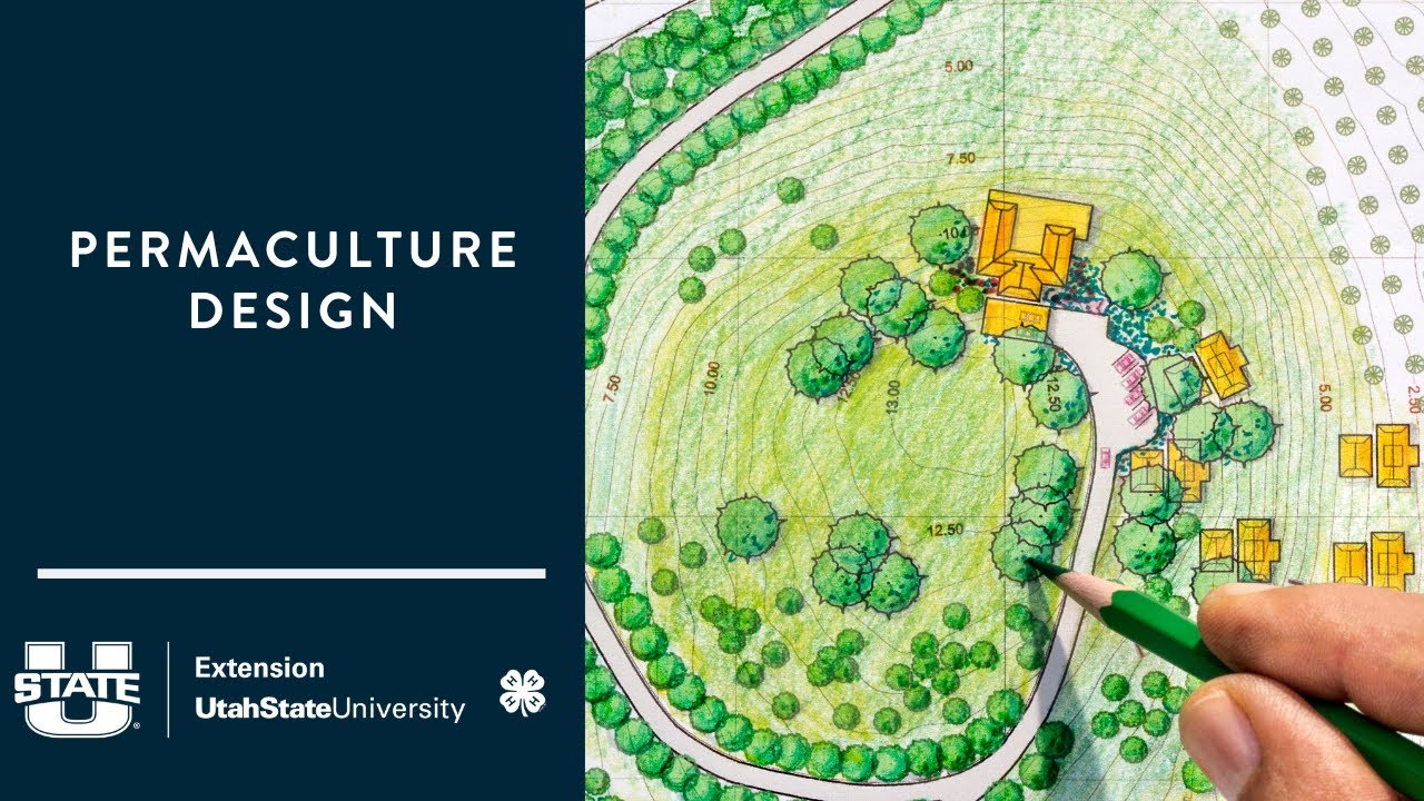 Permaculture Design - YouTube