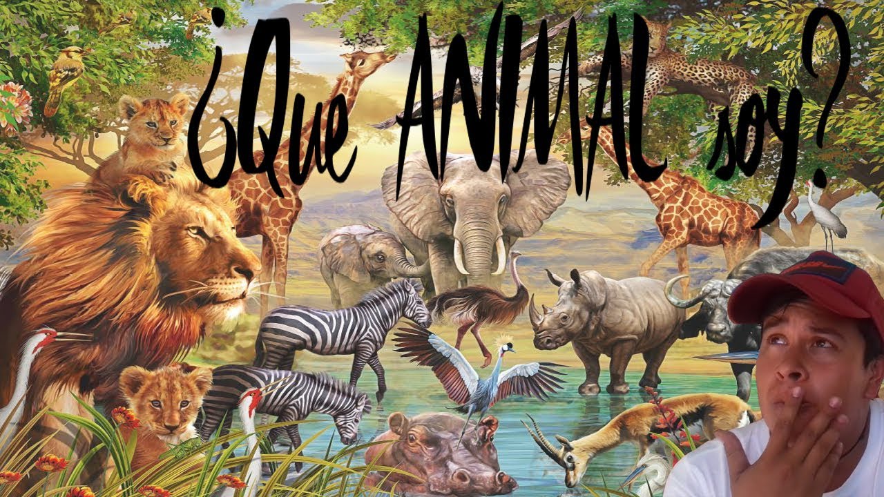 ¿Que animal soy? - YouTube