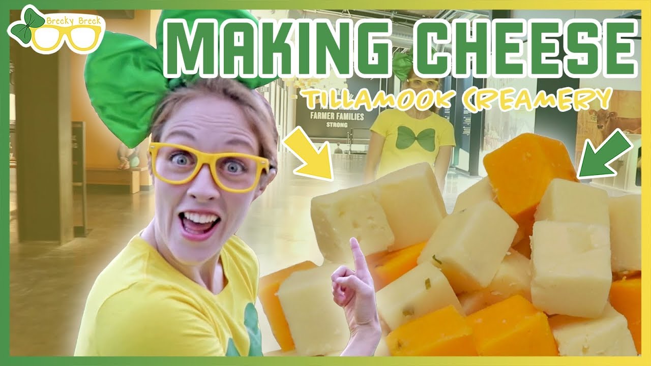 From Cows to Cheese | Brecky Breck Visits the Tillamook Creamery - YouTube