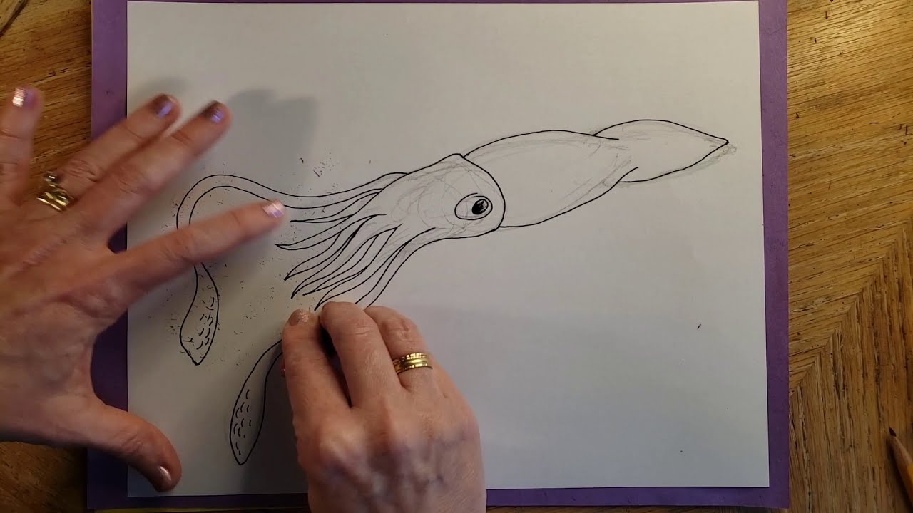How to Draw a Squid - YouTube
