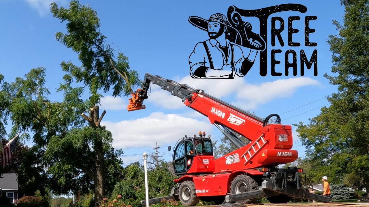 Epic Tree Removal Using Magni Crane and Westtech Woodcracker | Tree ...