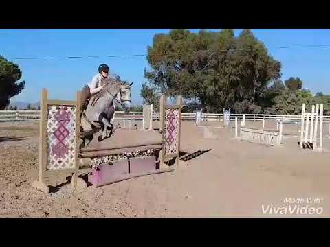 Andalusian Jumping - YouTube