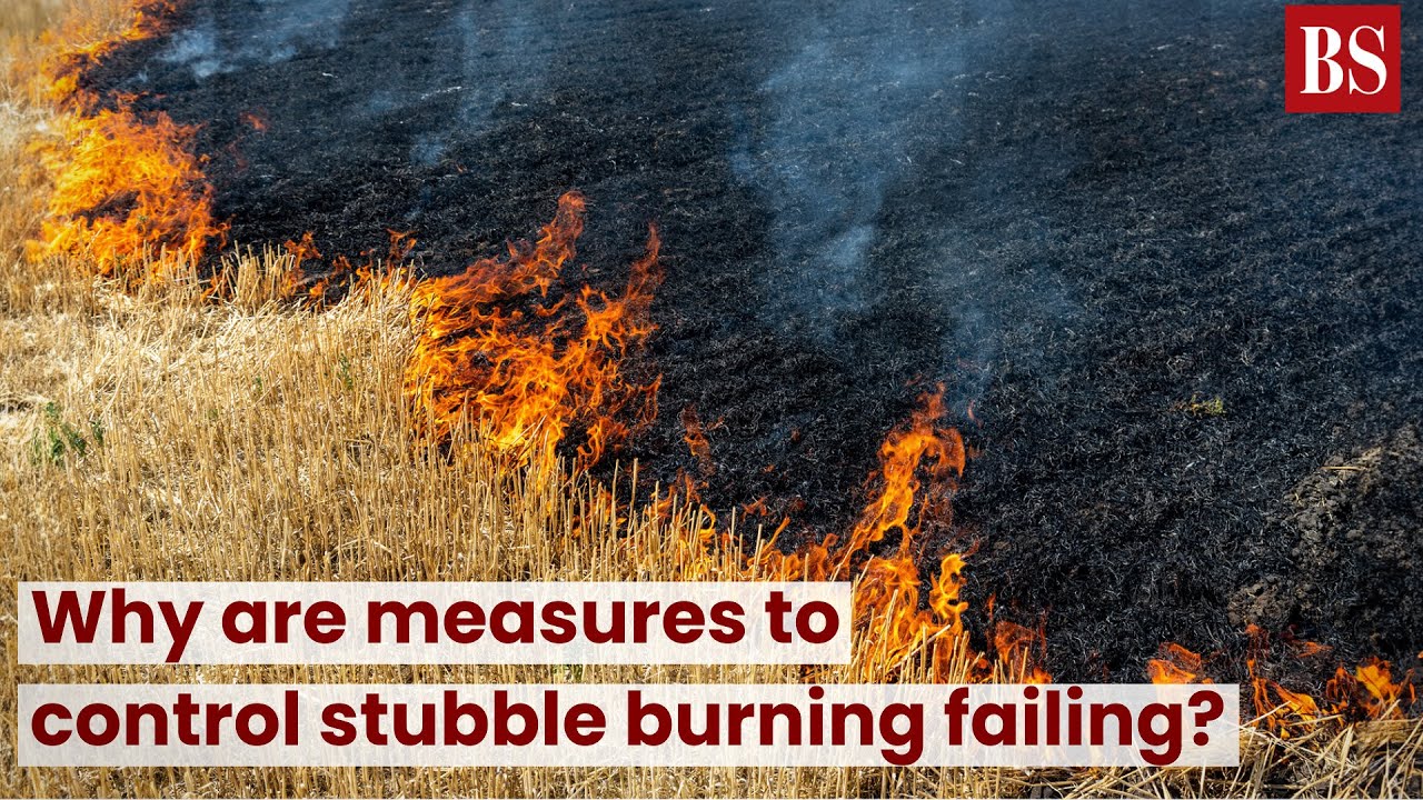 Why are measures to control stubble burning failing? #TMS - YouTube
