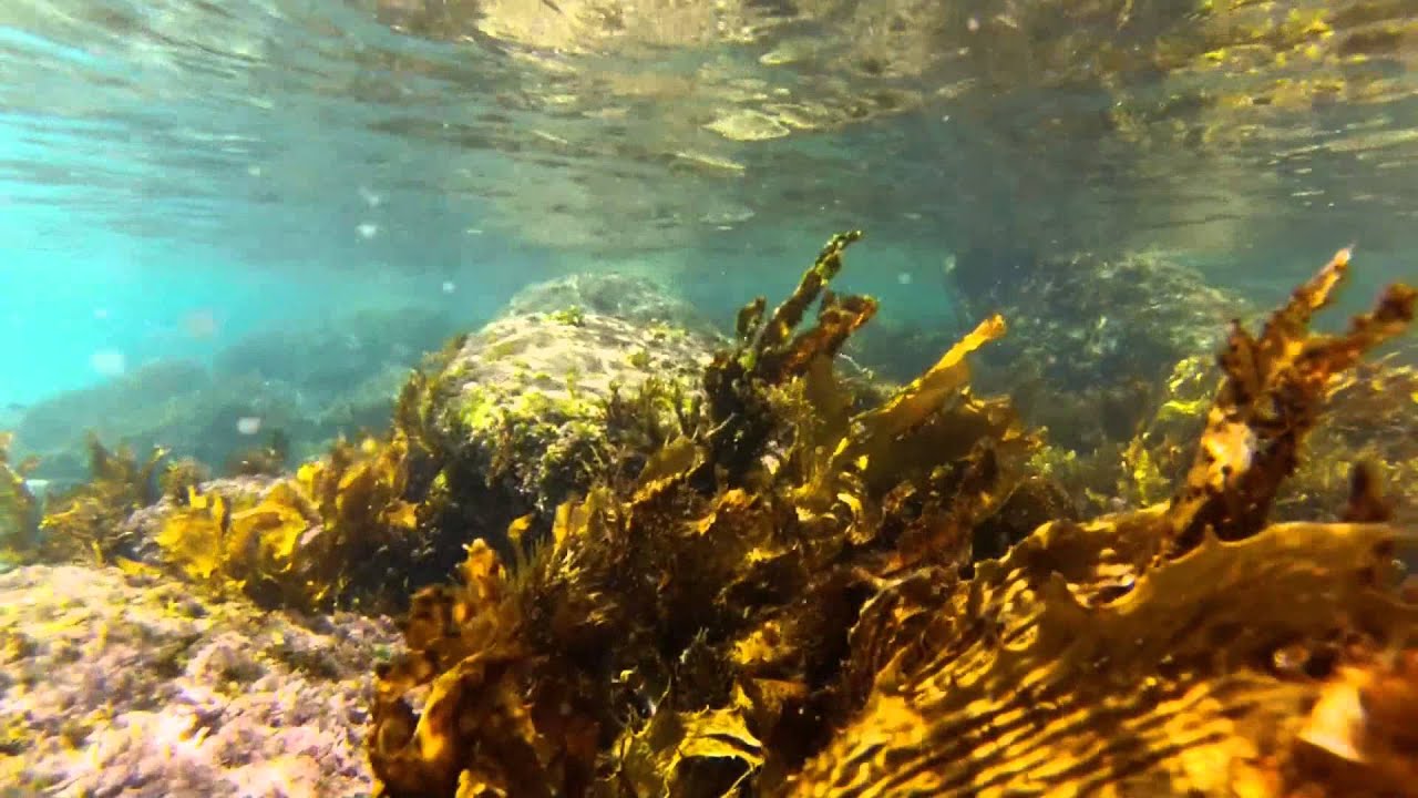 GoPro: Underwater Fun at Bronte Rock Pool - YouTube