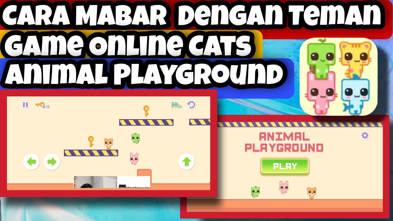 Cara Mabar Dengan Teman Di Game Online Cats Animal || Bagamana Cara ...