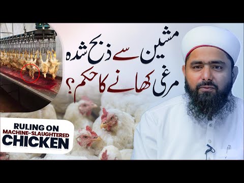 How to eat machine-slaughtered chicken? | Machine-slaughtered Chicken | Mufti Ali Asghar Attari