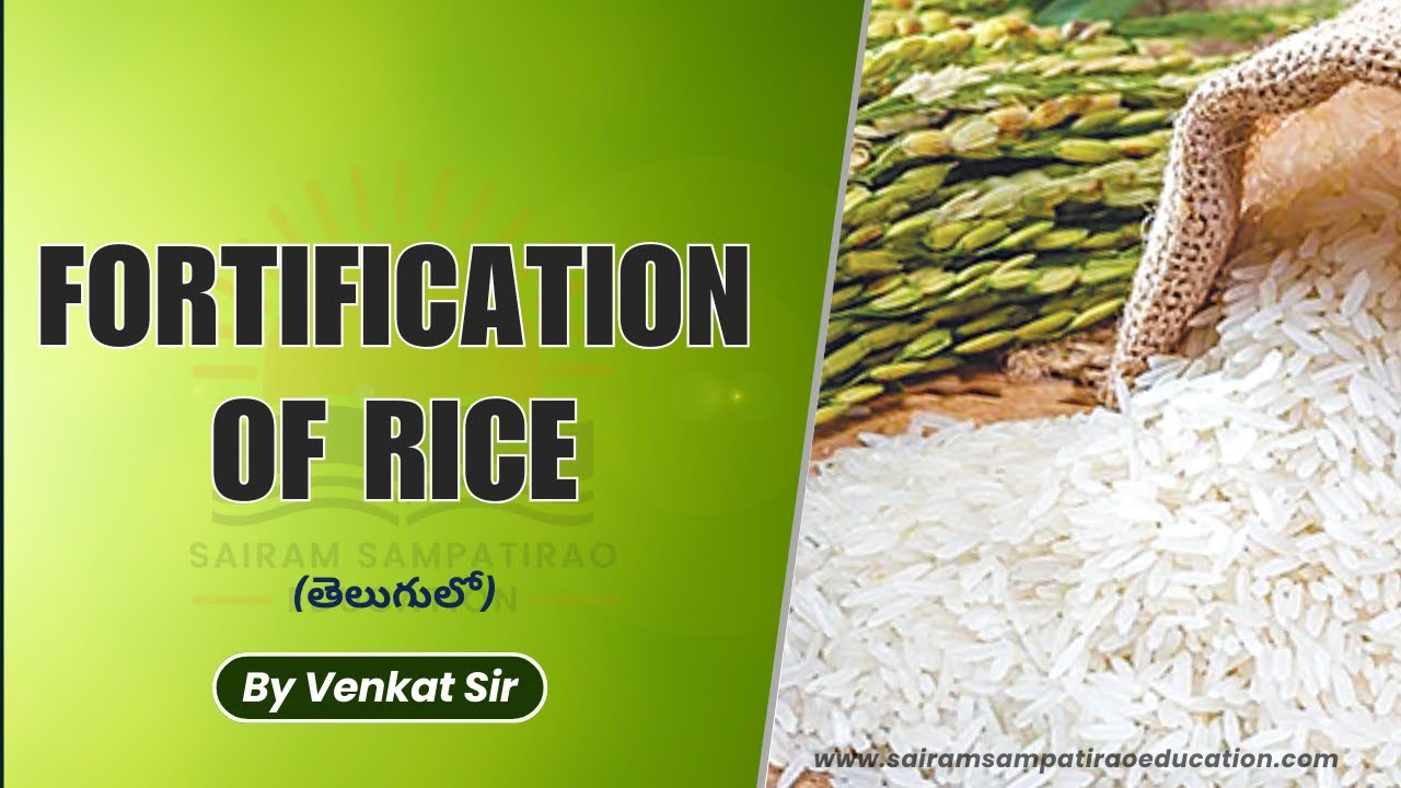 Fortification Of Rice (తెలుగులో) - YouTube