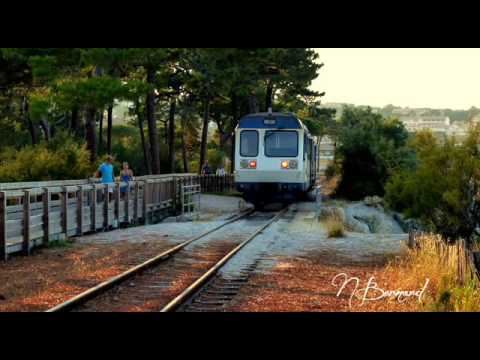 L'albinu - Carlu