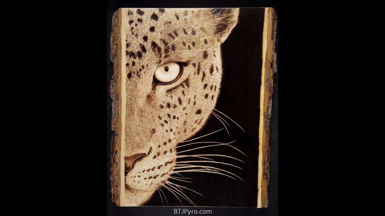 leopard - woodburning progression (256x speed) - YouTube