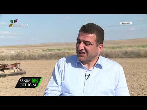 Benim Çiftliğim - Pancar Yetiştiriciliğinde Toprak İşleme ve Hazırlıklar