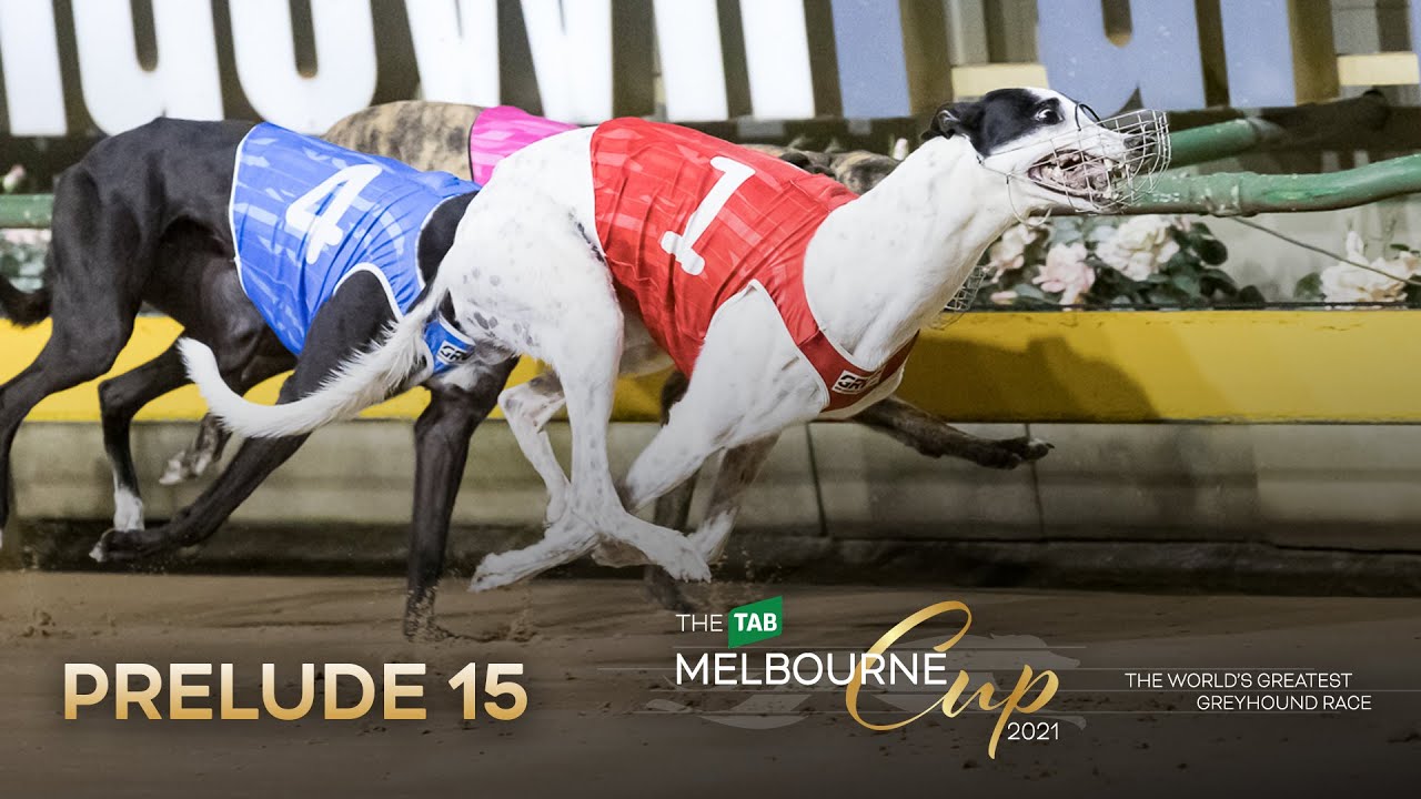 2021 TAB Melbourne Cup Prelude 15 | Special Talent - YouTube