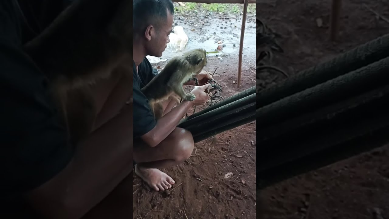 Den official lifestyle is live! - YouTube