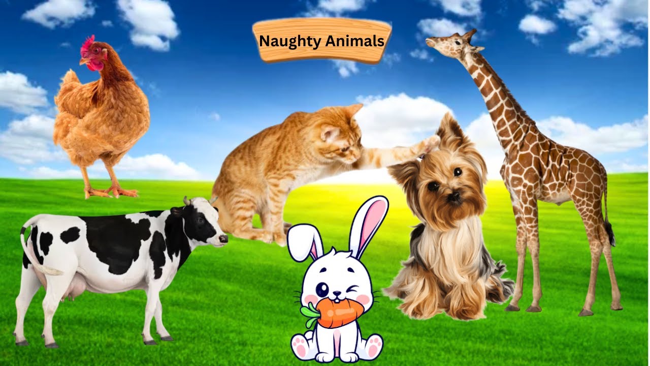 Learn Cute Familiar Animals Around Us :Giraffe, Dairy Cow, Chicken ...