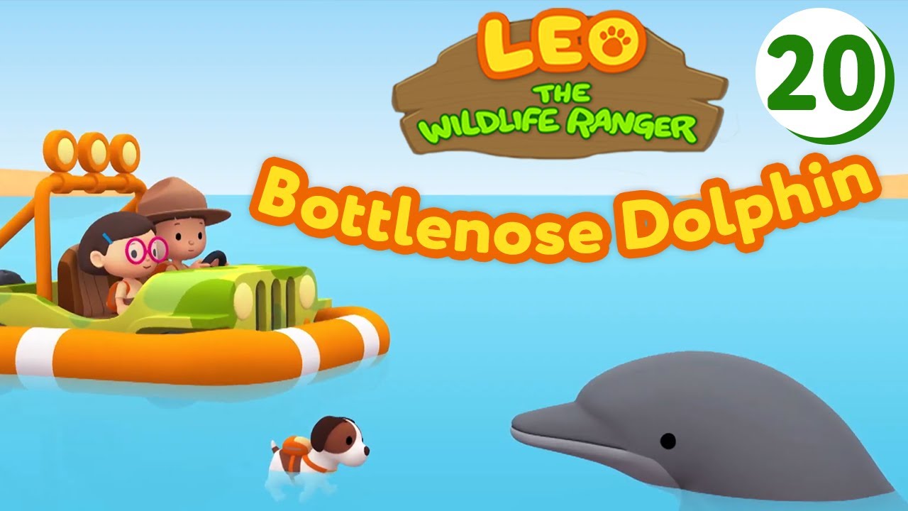 Bottlenose Dolphin - Leo The Wildlife Ranger (Episode 20) - YouTube