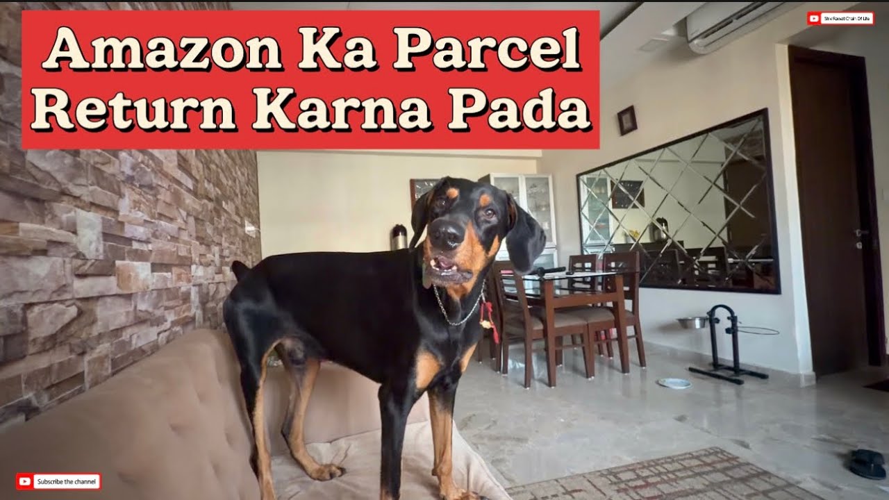 Amazon Ka Parcel Return Karna Pada - YouTube