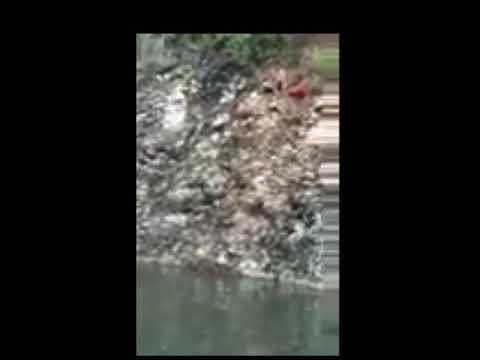 keseruan anak anak smp mandi sungai di gunung bgm desa martadah baru