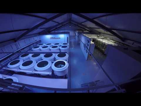 The renewed Alltech Coppens Aqua Centre - YouTube