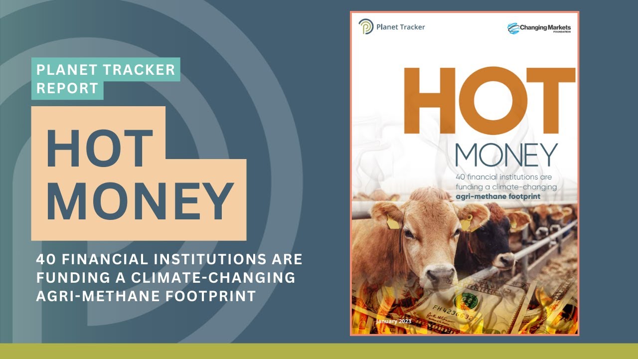 Hot Money, Explained. - YouTube