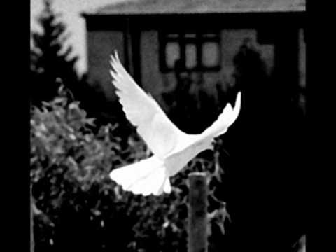 Sitemim Sanadır - Murat ince & Ahmet Şafak