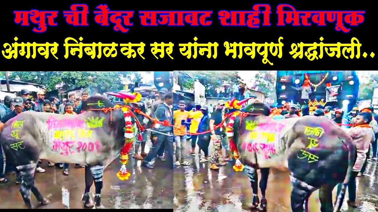 मथुर बैल बेंदूर बैलपोळा मिरवणूक | Mathur Bail सजावट | रणजित निंबाळकर सर ...