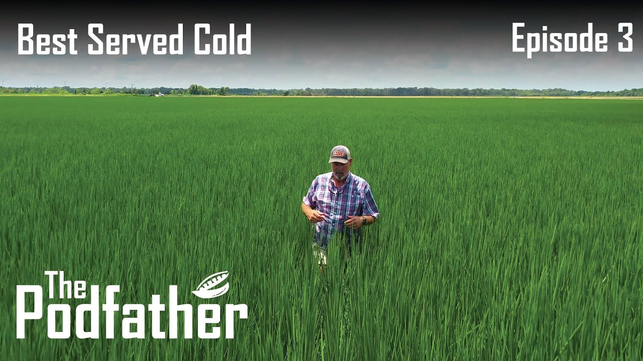 The Podfather | 103 | Best Served Cold - YouTube