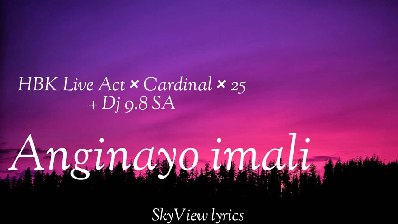 Anginayo imali lyrics - HBK Live Act × Cardinal ×25 + Dj 9.8 SA - YouTube