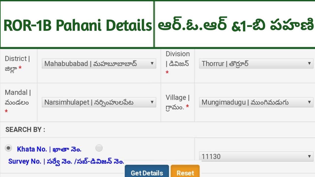 How to get ROR Pahani-One B (1B) Details from Your Survey No. and Katha ...