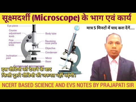 Microscope | microscope view | microscope parts and functions l ...