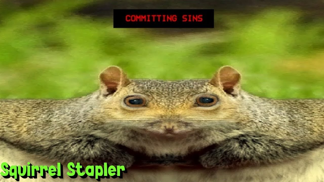 Squirrel Stapler Any% 11:45 - YouTube