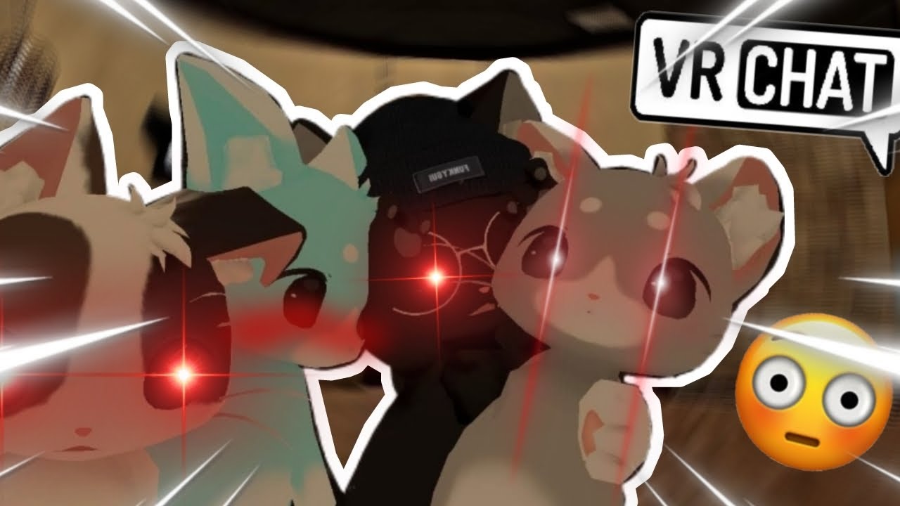 Behold The Kittens That Took Over In The Black Cat Lobby In VRChat ...