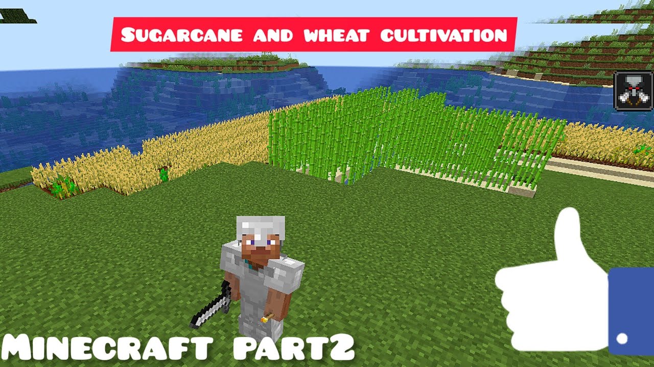 MINECRAFT How is sugarcane and wheat planted? - MINECRAFT Part 2 - YouTube