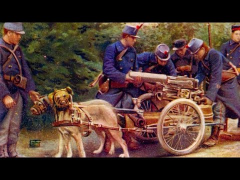War Dogs with Machine Guns: The Remarkable Role of Canine Transport in ...