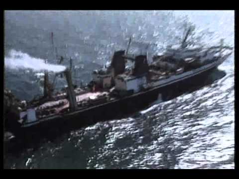 Earthlings ~ The Documentary Part 3 - YouTube