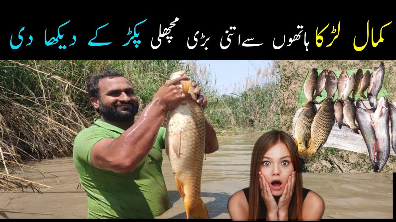Fish Hunting///Traditional Boy Hunting Big Fish with Hands///Owsem Fish ...