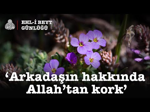 Ehlibeyt Günlüğü: Arkadaşın hakkında Allah’tan kork