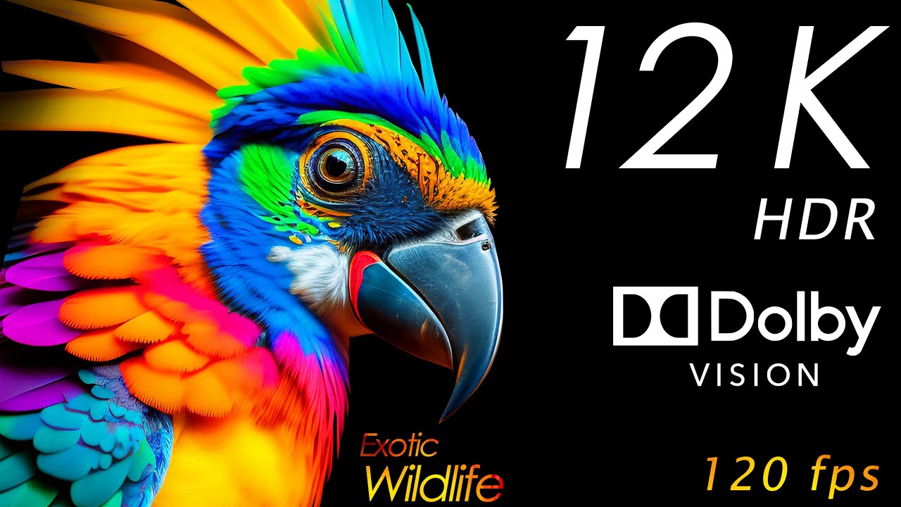 12K HDR 120FPS DOLBY VISION - Exotic Animals Colorfully Dynamic| Scenic ...